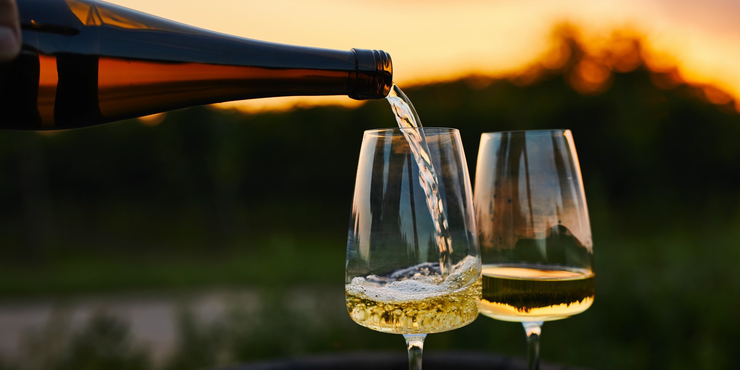 7 Italian White Wines You Should Try | Total Wine & More