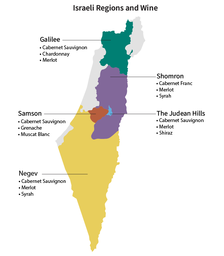 Israeli wine, History of Israeli Wine | Total Wine & More | Total Wine ...