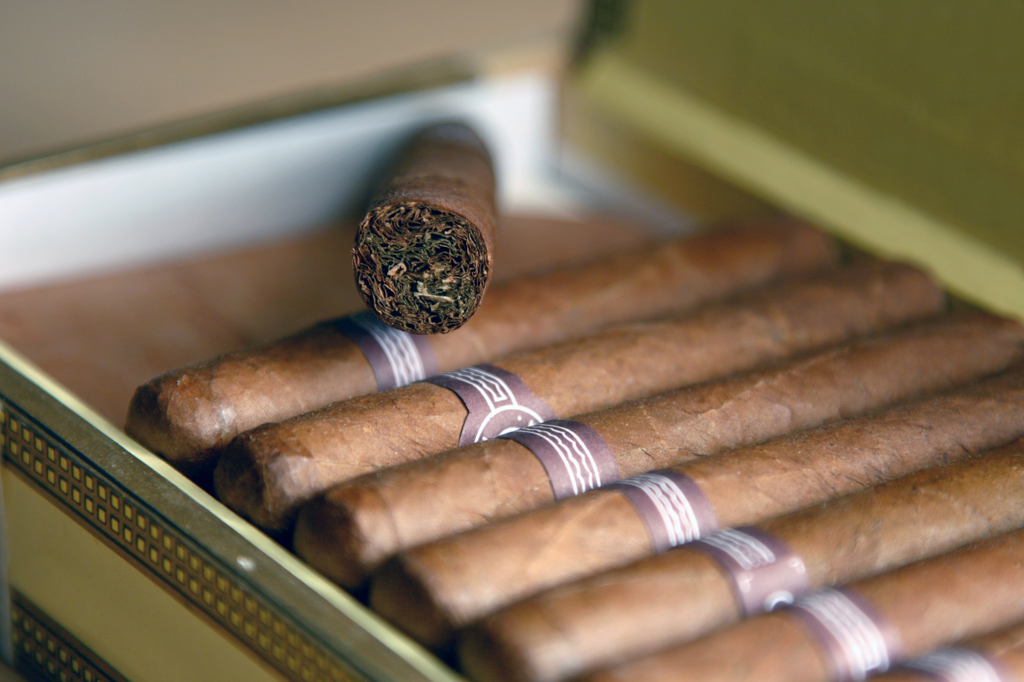 Cigar 101: The Art of Smoking Cigars | Total Wine & More
